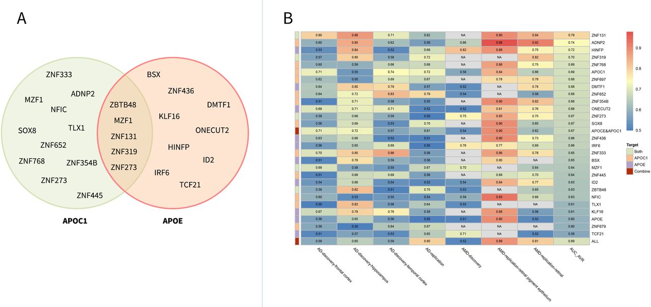 Shared genetic aetiology of Alzheimer’s disease and age-related macular ...