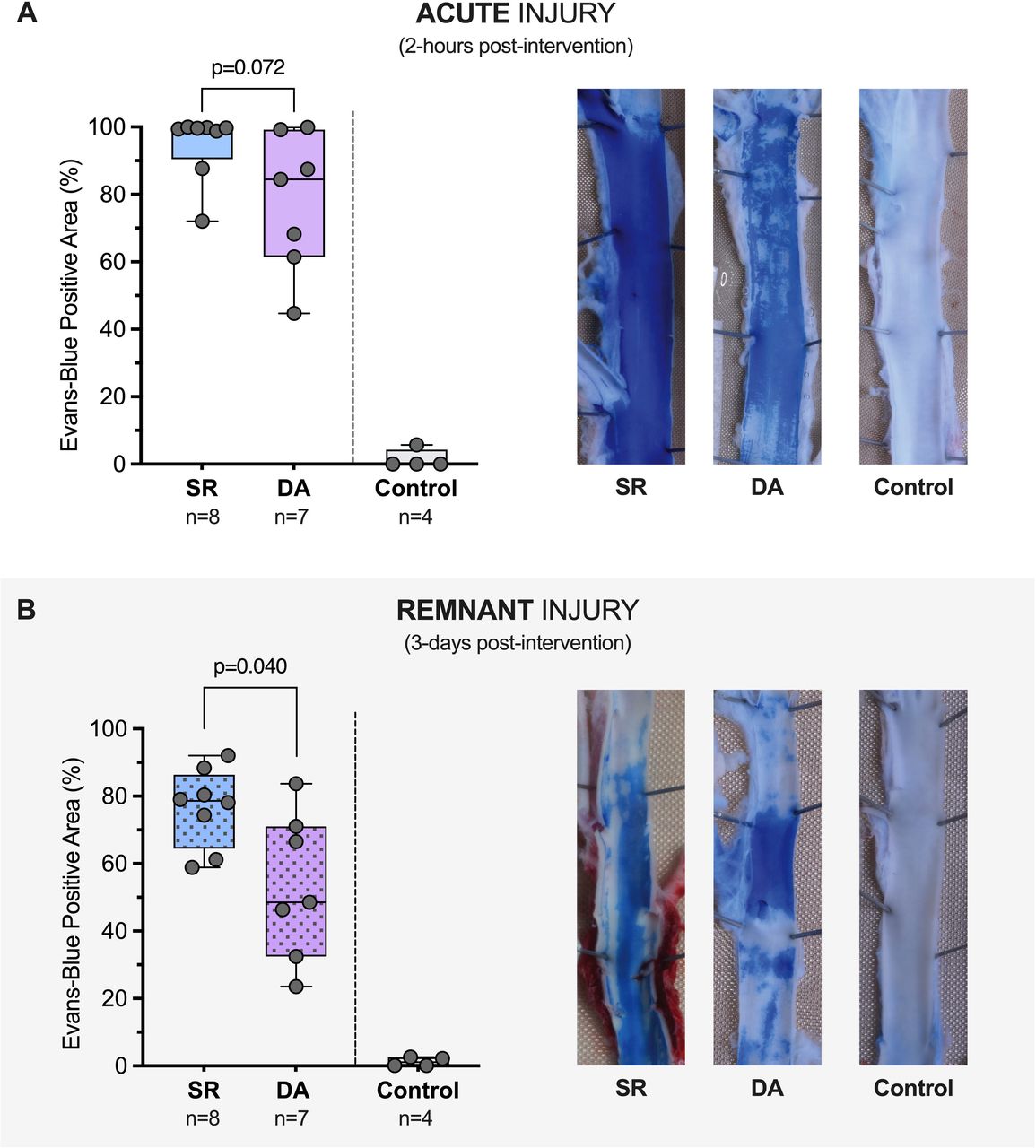 Vascular injury and occurrence of microthrombi after endovascular ...