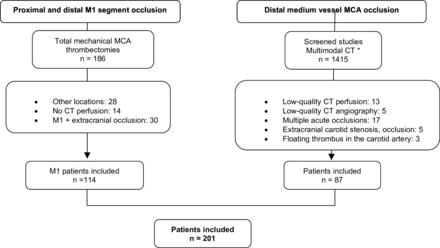 Perfusion patterns as a tool for emergency stroke diagnosis ...