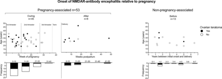 Clinical data and reporting quality in NMDAR-antibody encephalitis and ...