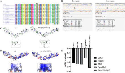 Clinical and genetic analysis of a family with myopathy caused by an ...