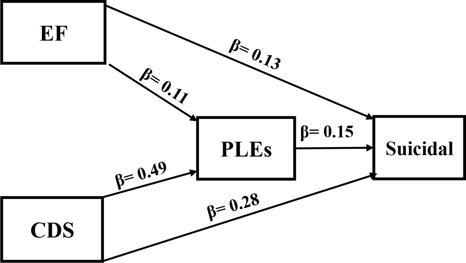 Executive functions and cognitive disengagement syndrome as predictors ...